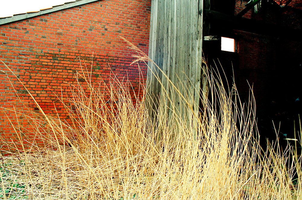 Ostfriesland – Pedro Sales