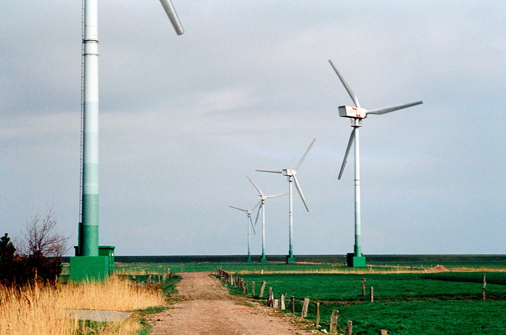 Ostfriesland – Pedro Sales