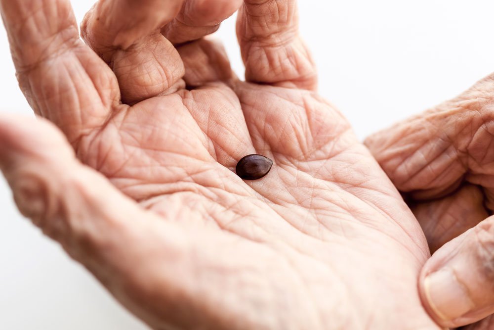 Toque-me – Pedro Sales